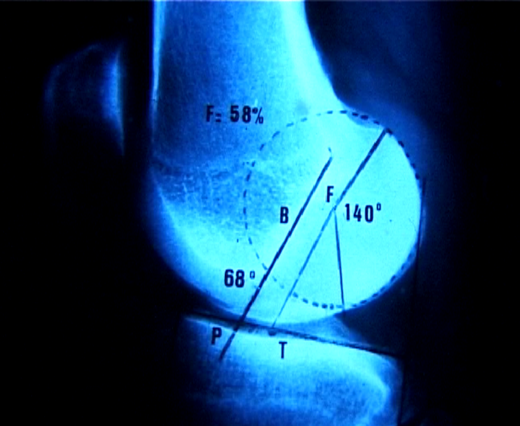 SCIENTIFIC PUBLICATIONS – VETLIG GLOBAL